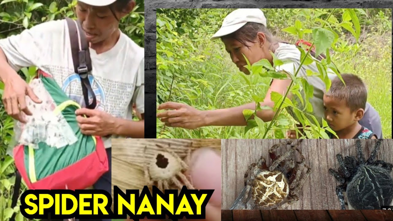 Spider nanay ng cebu Grabe! madeskarte nakakahanga / Rene OC - YouTube