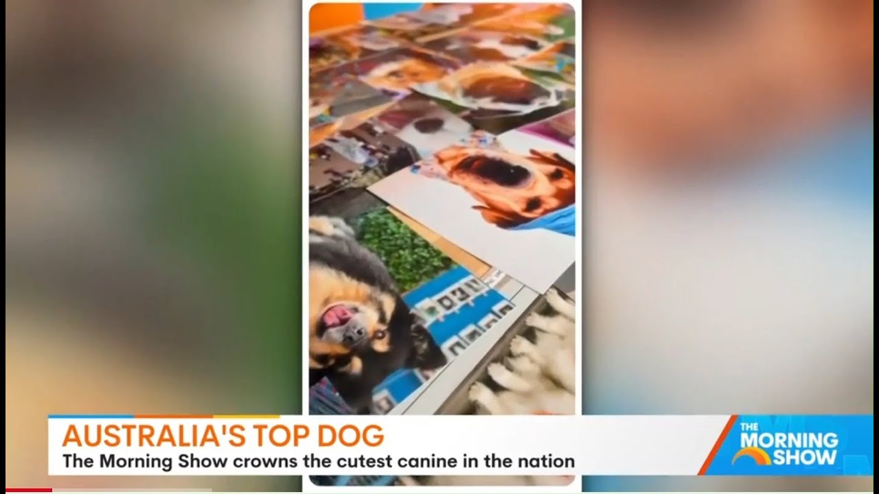 The Next Pet Model 2024 - Featured on The Morning Show! - YouTube