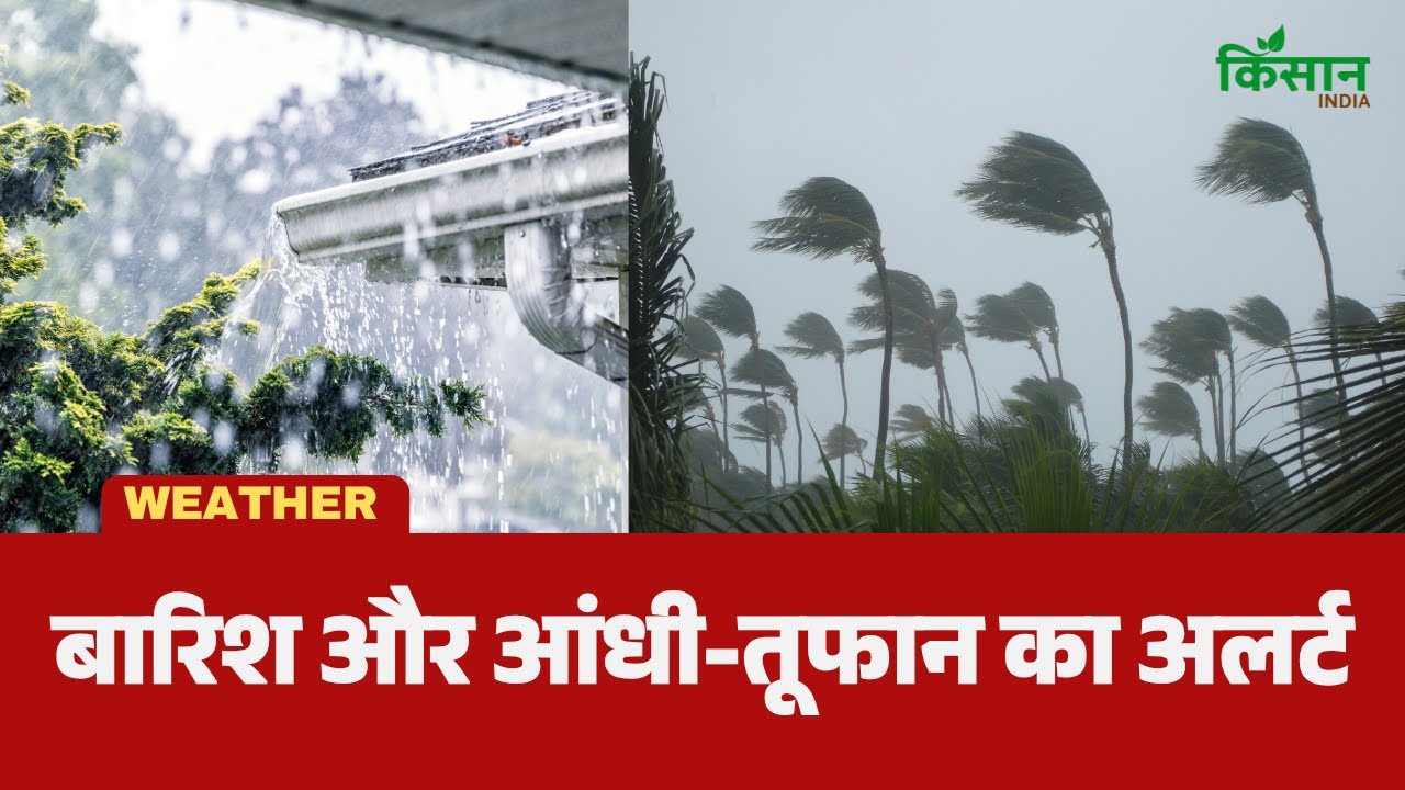 Weather forecast बारिश और तूफान को लेकर अलर्ट, देखिए IMD का पूर्वानुमान ...