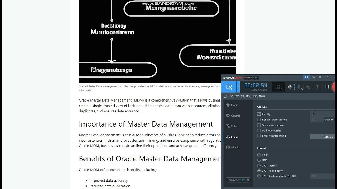 Oracle Master Data Management: Streamline Your Business Operations ...
