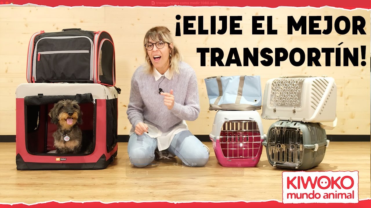 Cómo ELEGIR un TRANSPORTÍN para Perros 📐👜🐶【Medidas y Usos 】 - YouTube