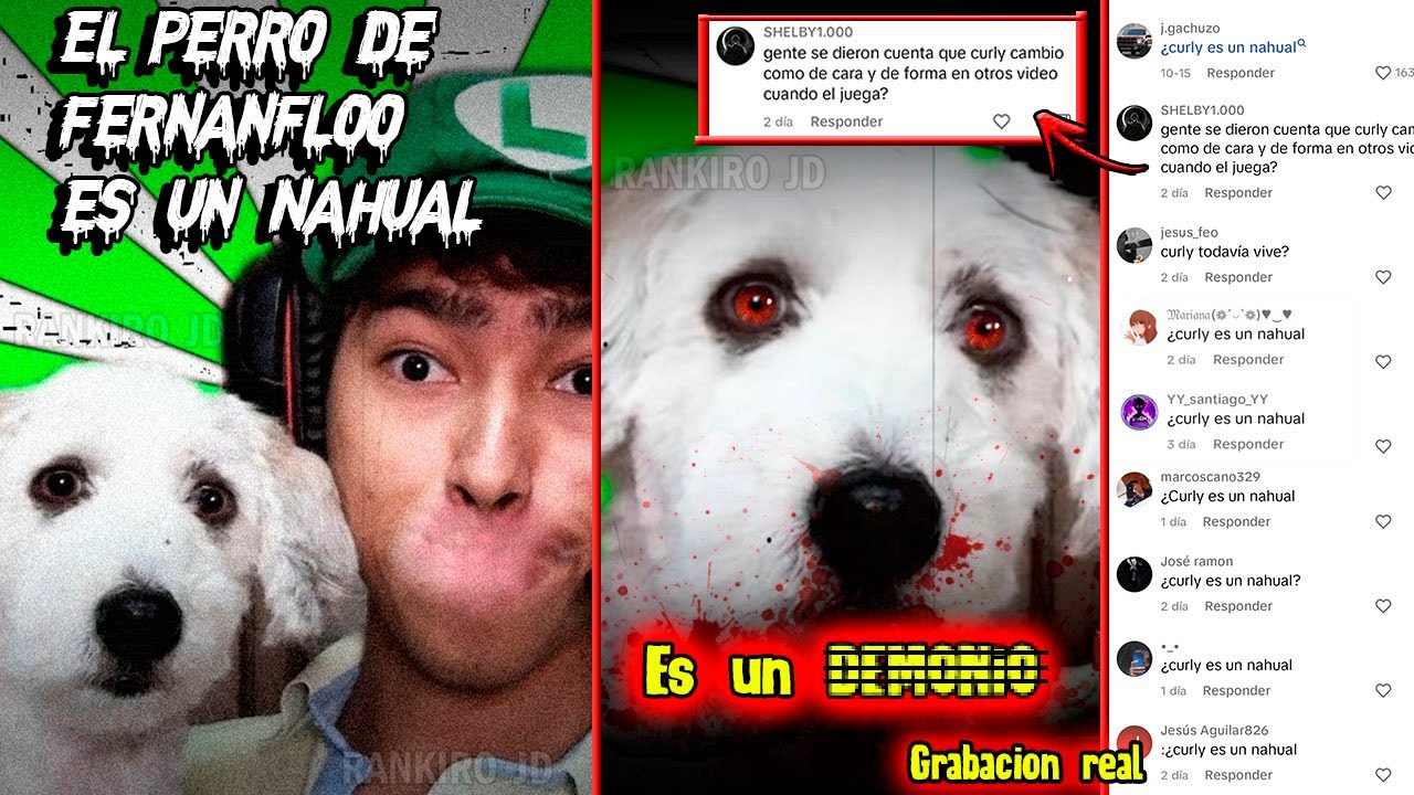 El Perro de Fernanfloo es un Nahual GRABACION REAL CONTEXTO EL FIN DE FERNANFLOO - YouTube