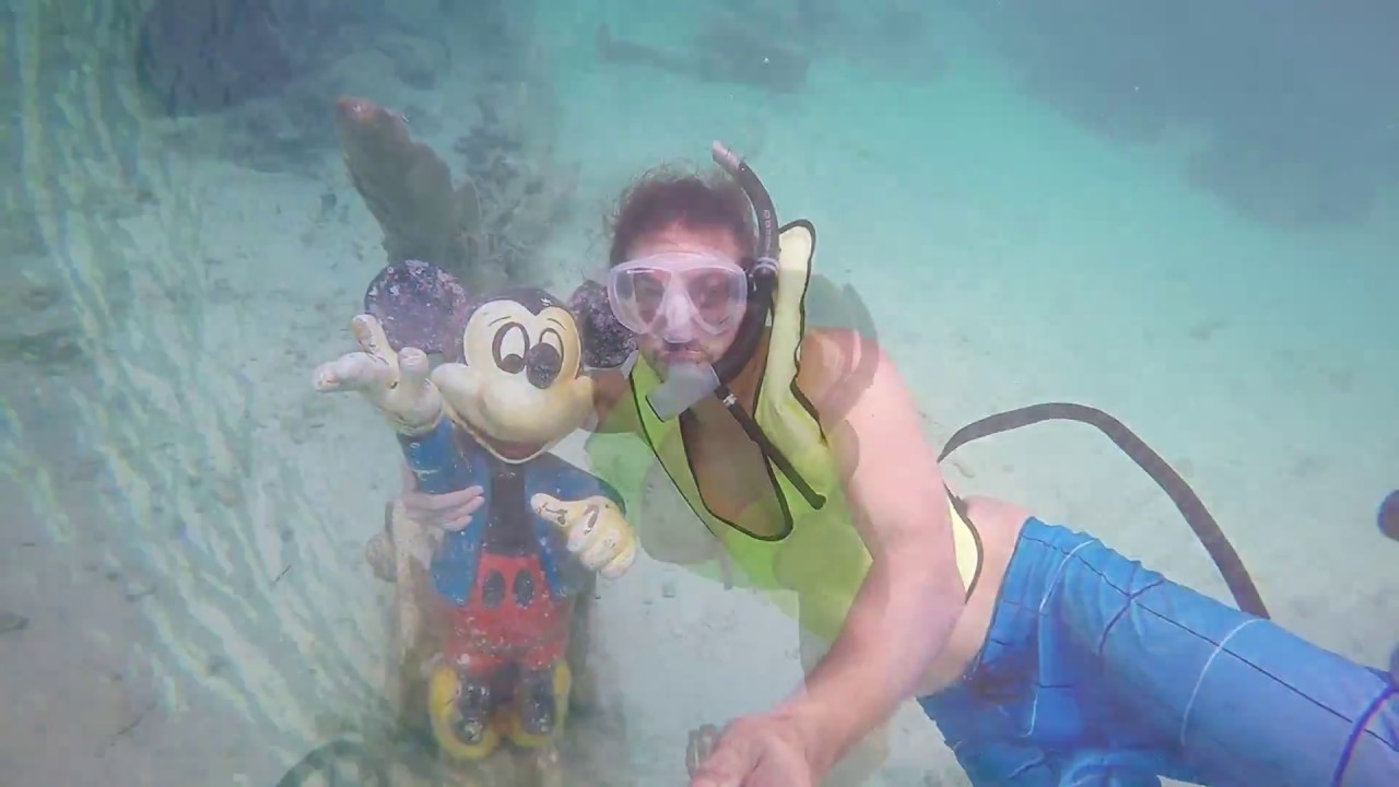 Castaway Cay Snorkeling - YouTube