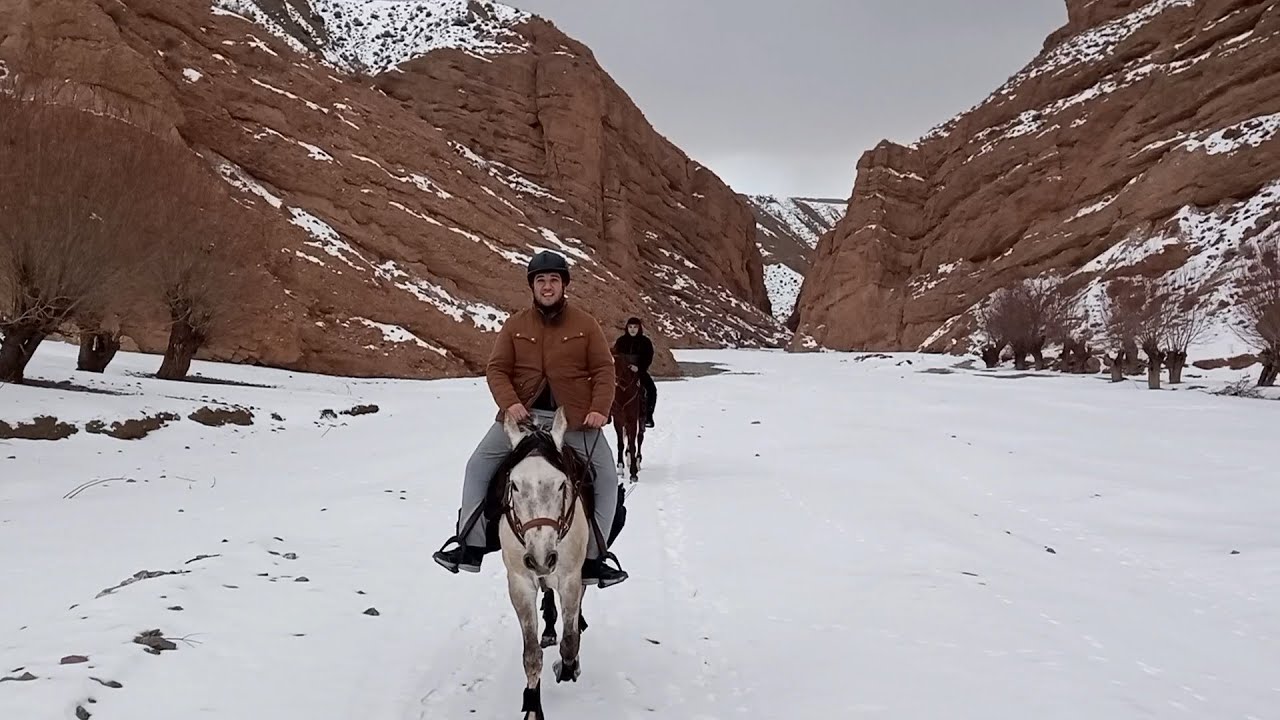 Horse Riding VLog 🐴 - YouTube