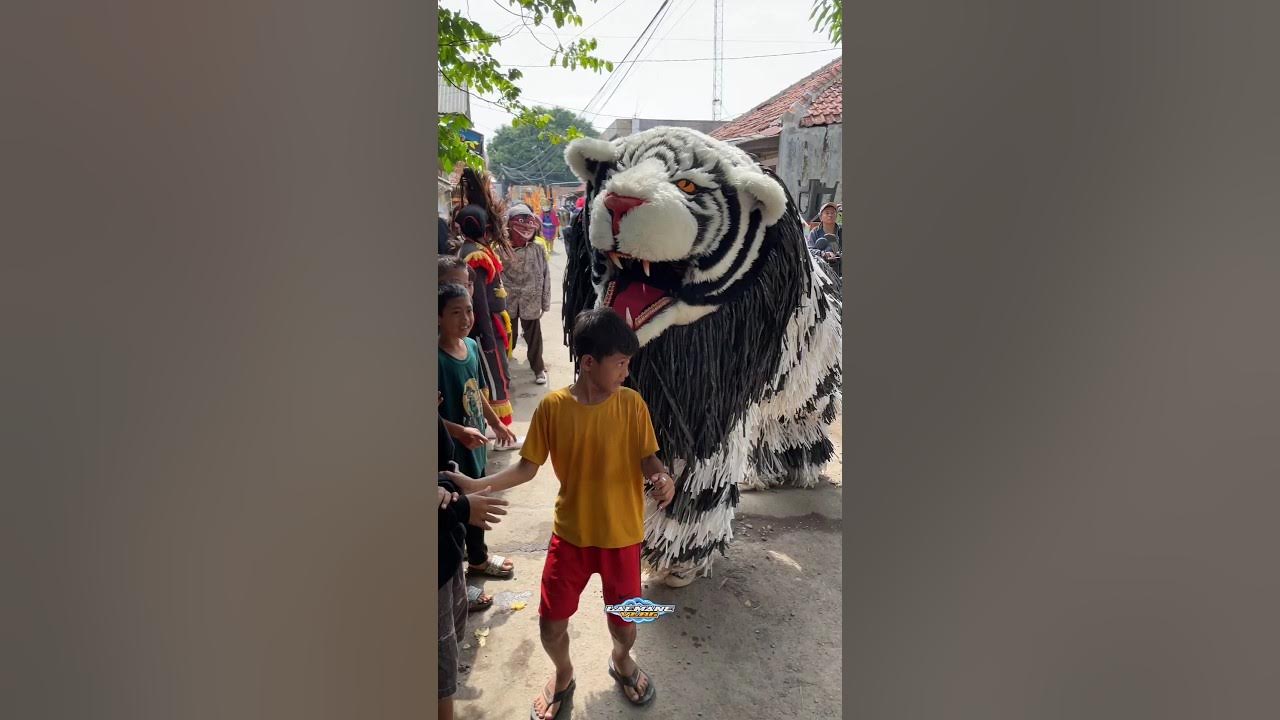 Bocil penonton di makan can macanan - YouTube