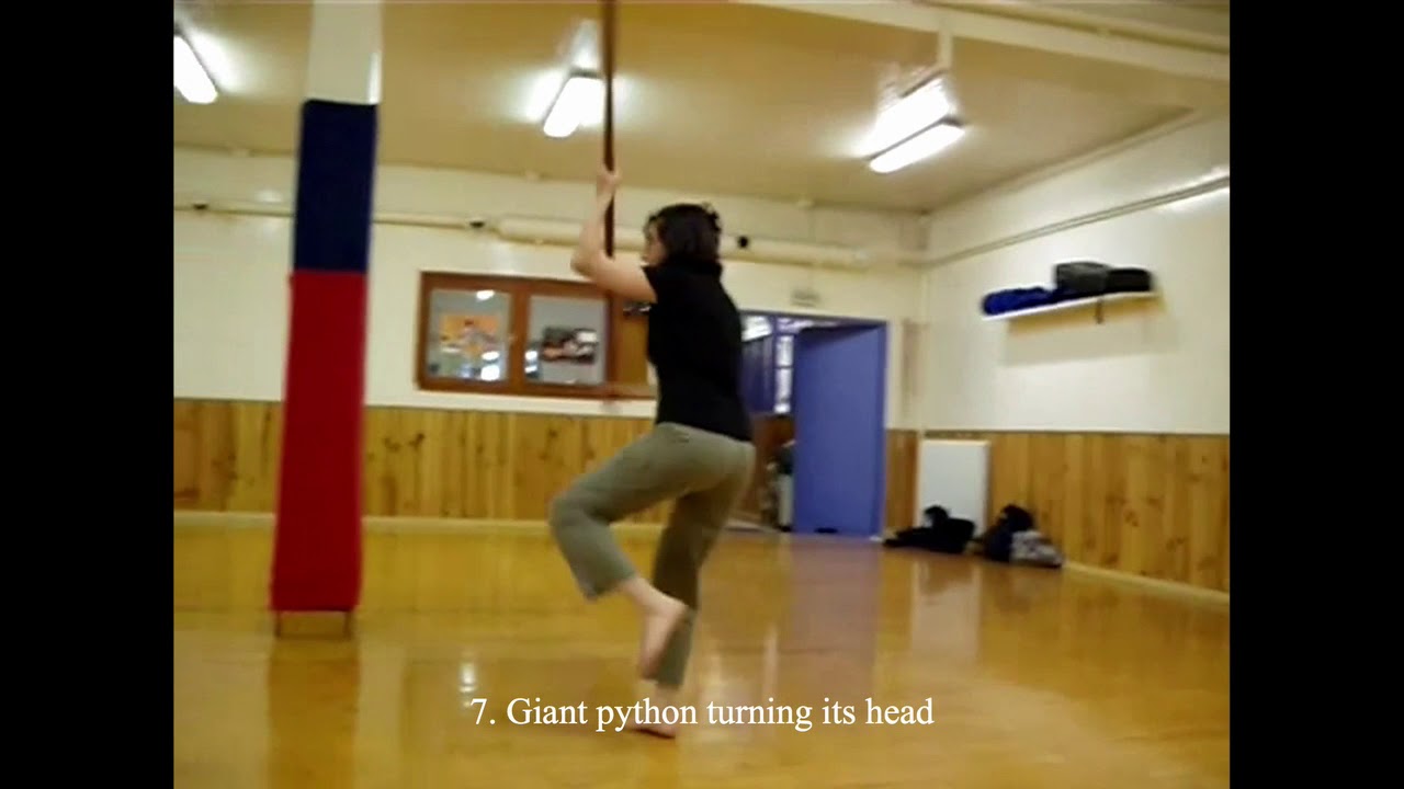 Wudang Spear Form with names - YouTube