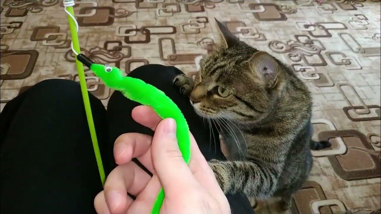 Кошка играет с удочкой дразнилкой | TrioL удочка-дразнилка "Неоновый ...