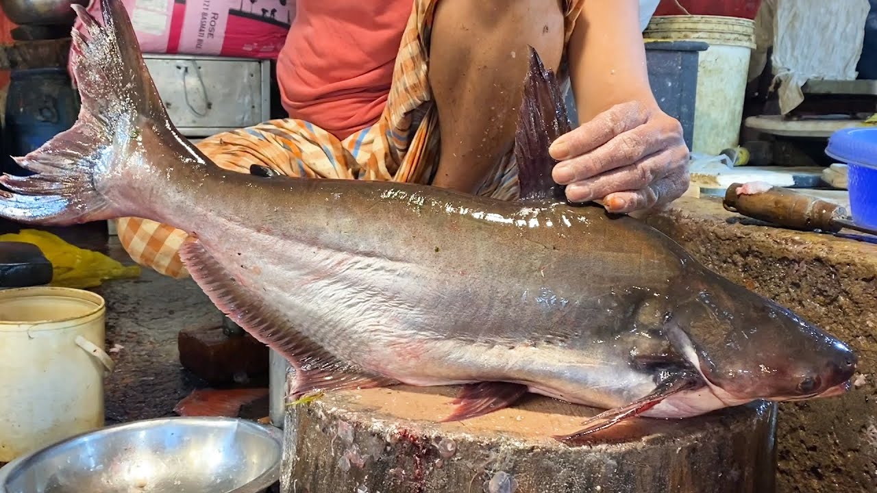 Wonderful !! Black Pangas Fish Cutting Skills Live In Bangladesh Fish ...