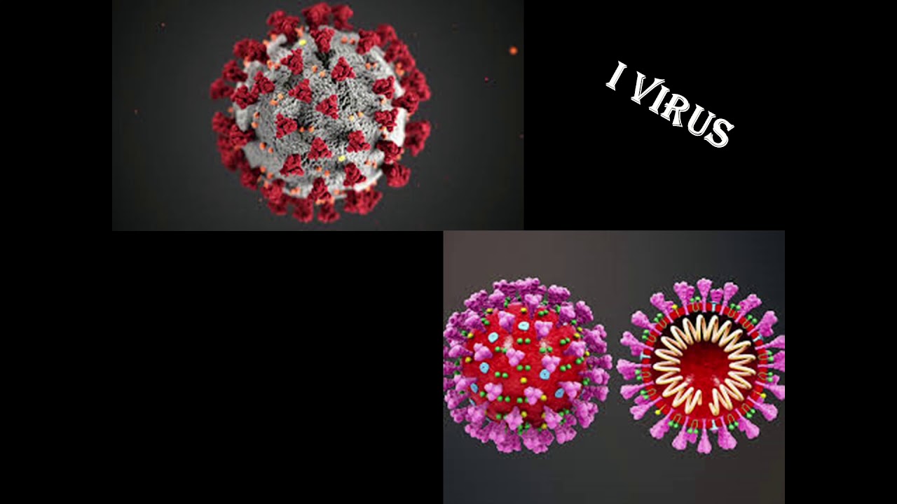 VIRUS - YouTube