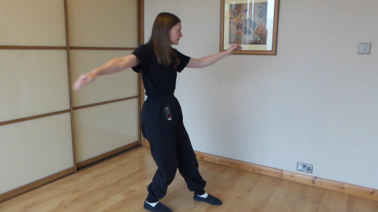 Li Style Tai Chi Form moves 88-89: The Double Whip - YouTube