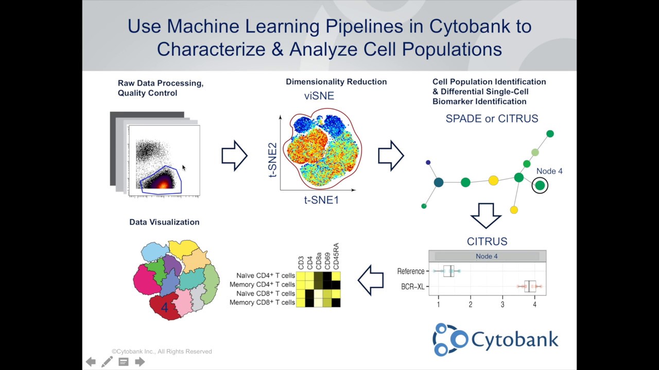 Basics in Cytobank - YouTube