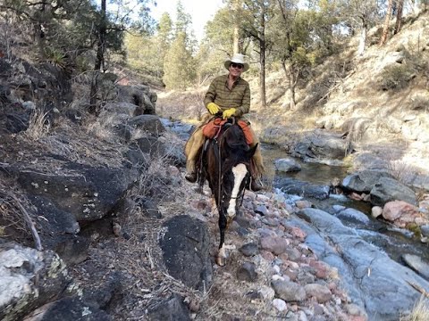Cleveland Spring Trail, Blue Range Primitive Area, eastern Arizona ...