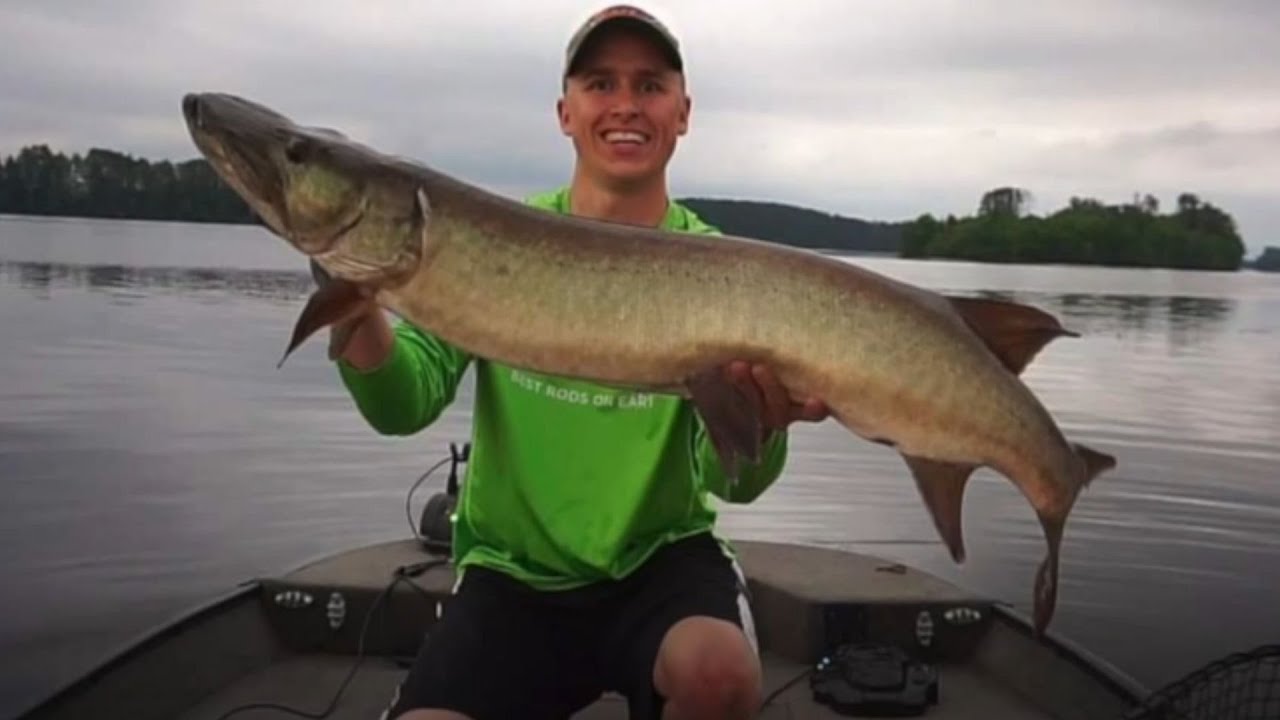 Big Northern WI Flowage Musky! (Finally!) - YouTube