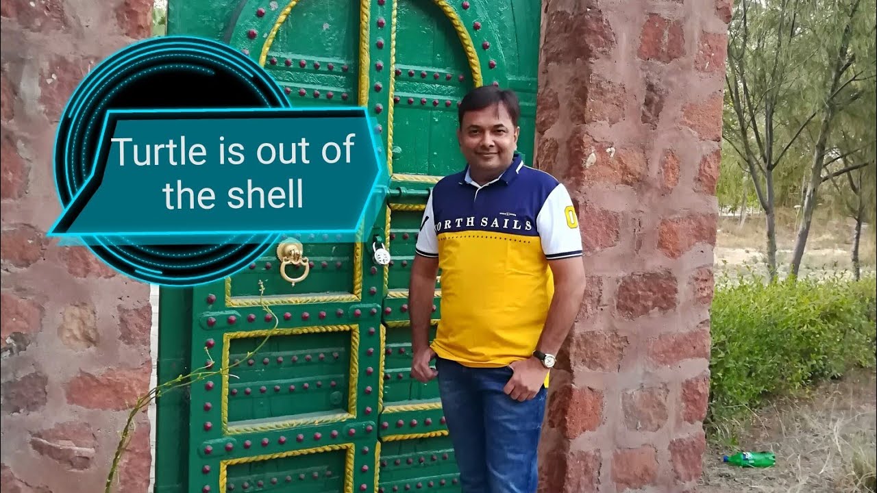 No.42। Turtle is out of the shell - YouTube