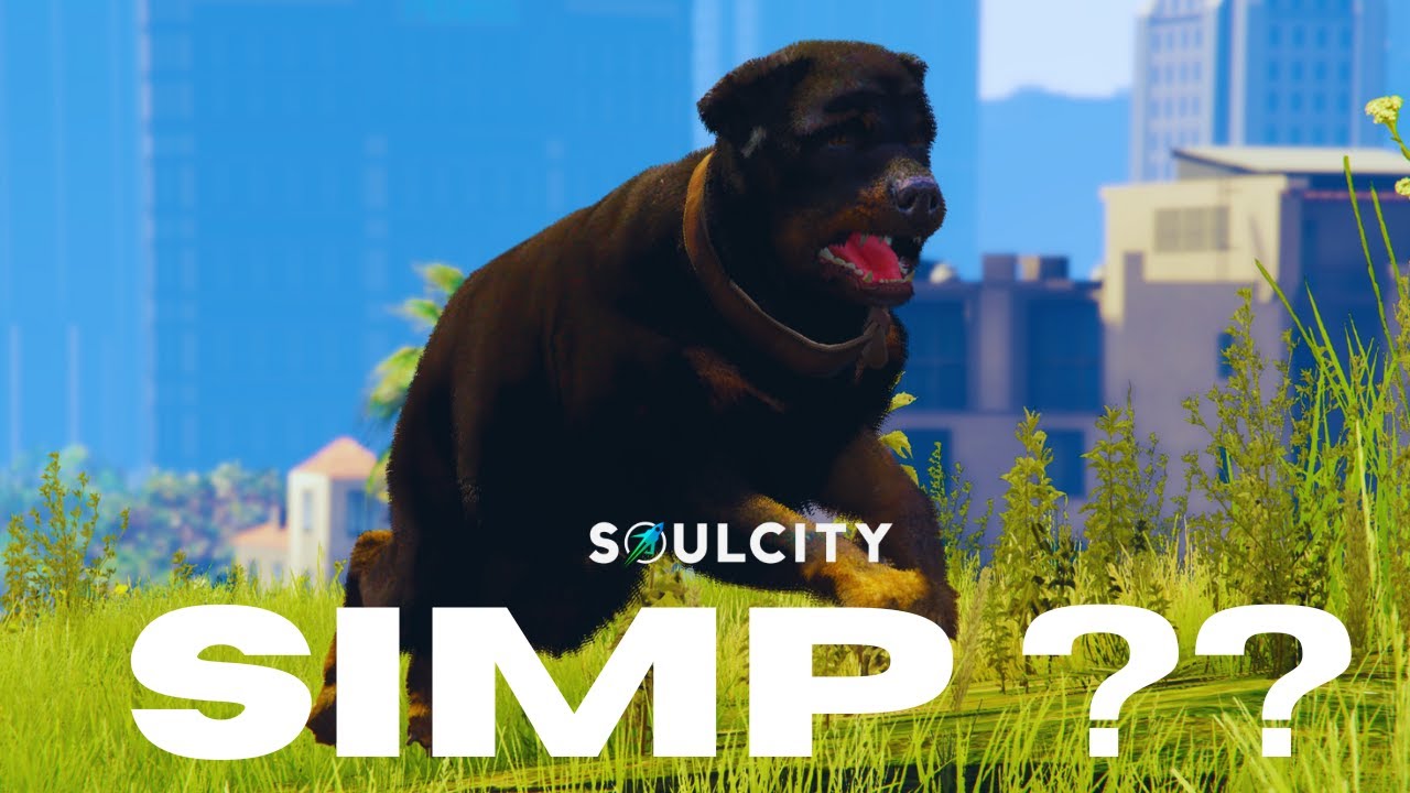 Sunny The Simp | Dog in GTA 5 RP | #soulcity #lifeinsoulcity - YouTube