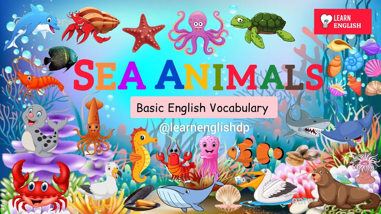 sea animals | learn sea animals names in english |Types of #seaanimal # ...