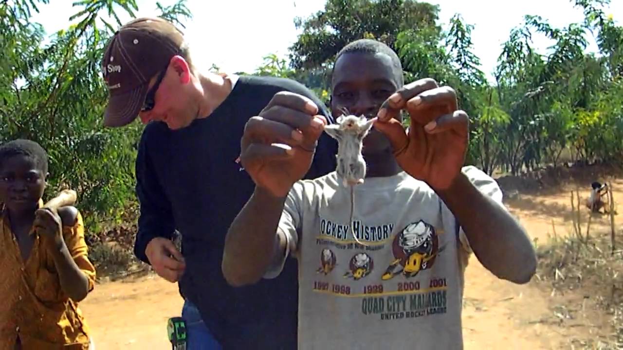 Mice eaters in Malawi - YouTube