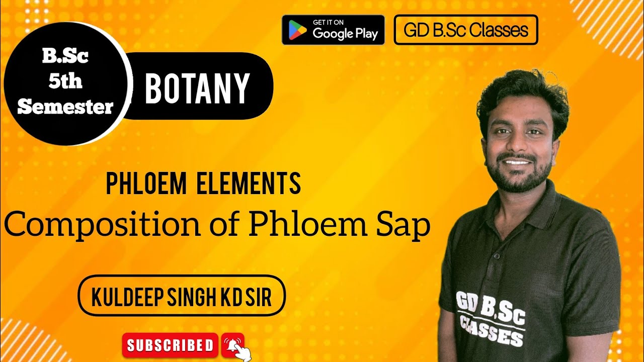 Composition of Phloem sap |5th Semester Botany #phloem Elements - YouTube