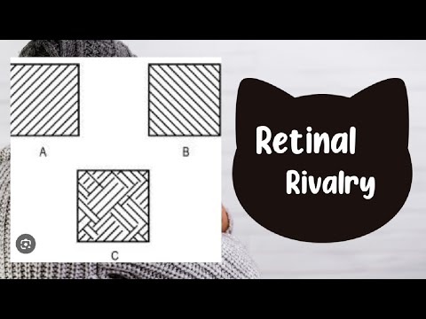 RETINAL RIVALRY | # ORTHOPTICS #BSV - YouTube