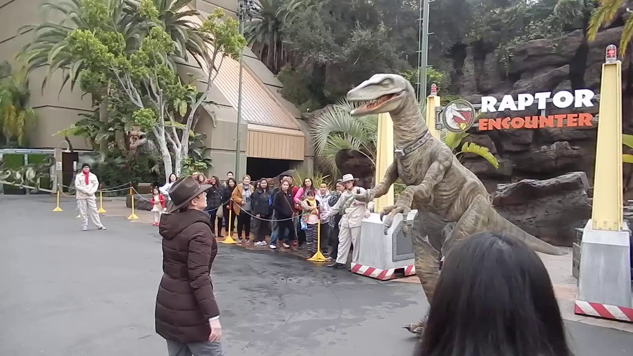Raptor Encounter, Universal Studios Hollywood, Los Angeles CA 2015 ...