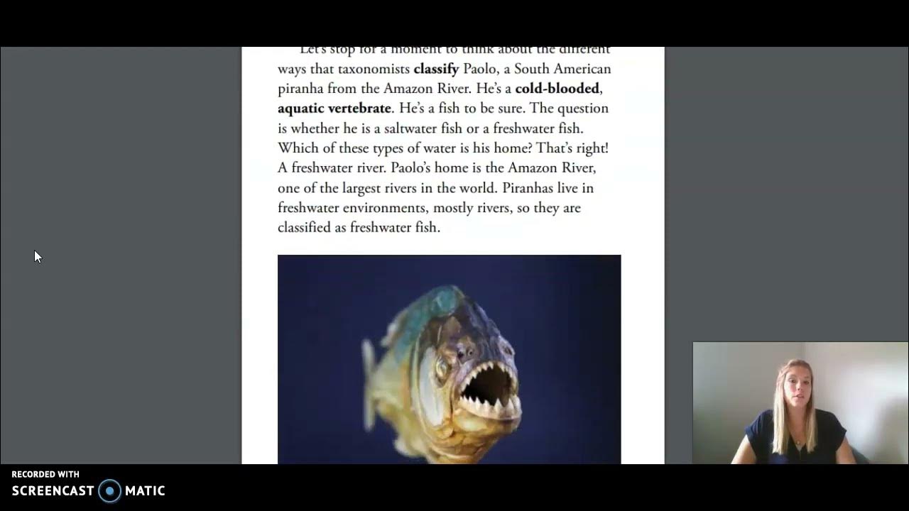 3rd Grade CKLA ELA - Unit 2 Lesson 5 Animal Classification: Fins and ...