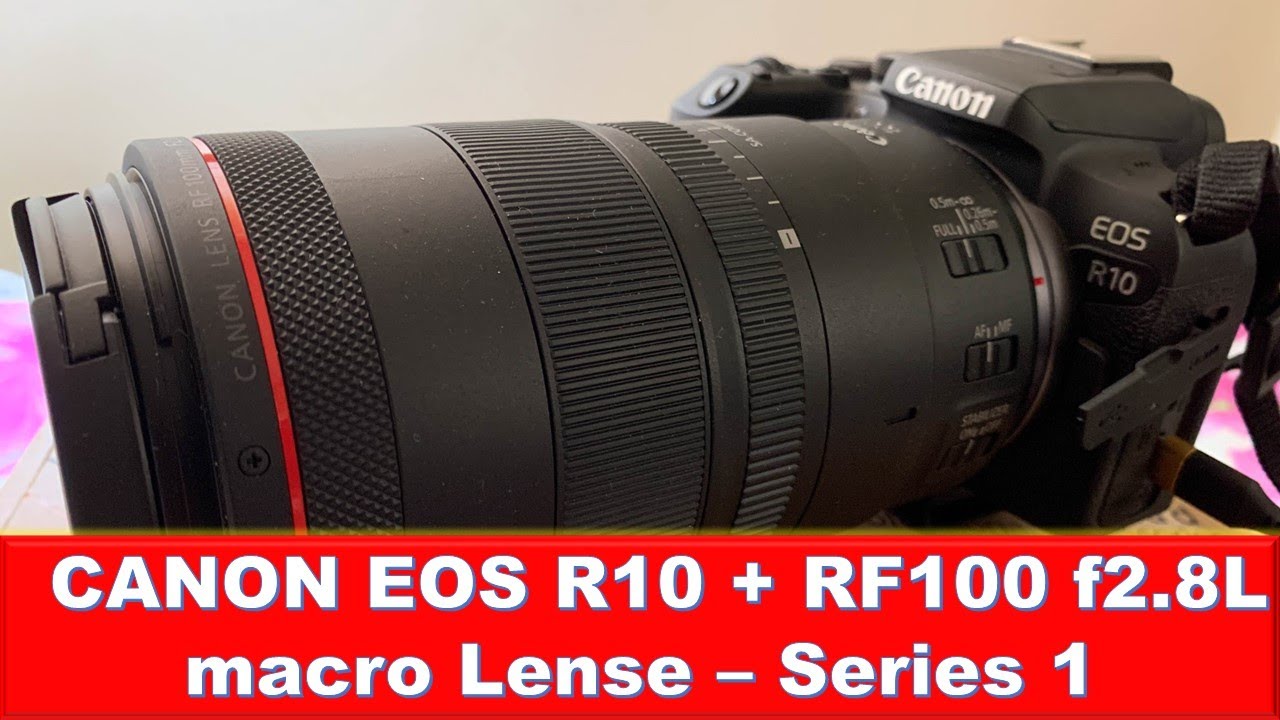 Macro Photography with Canon EOS R10 - YouTube