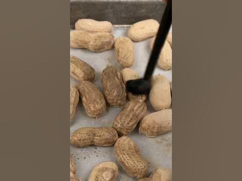 Understanding the YouTube Algorithm - YouTube