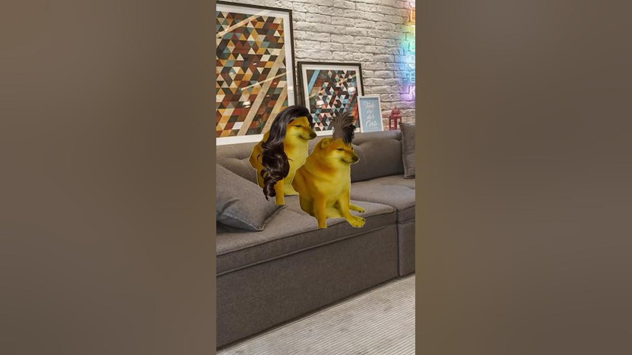 Minha Irmà Cortou Meu Cabelo Youtube