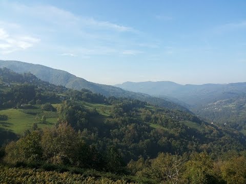 Mountain Golija, Serbia. Planina Golija, Srbija. Video 1 - YouTube