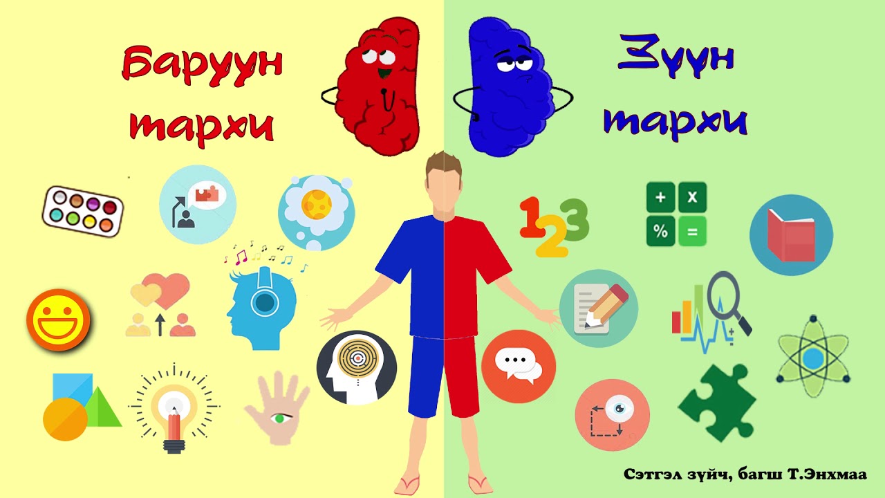 ХҮҮХДИЙН БАРУУН ЗҮҮН ТАРХИЙГ ЖИГД ХӨГЖҮҮЛЭХ АРГУУД Youtube