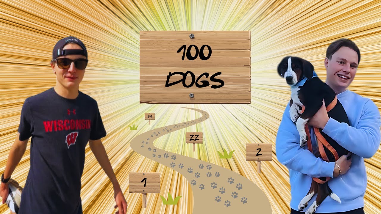 Taking 100 Shelter Dogs for the Run of their Lives - YouTube