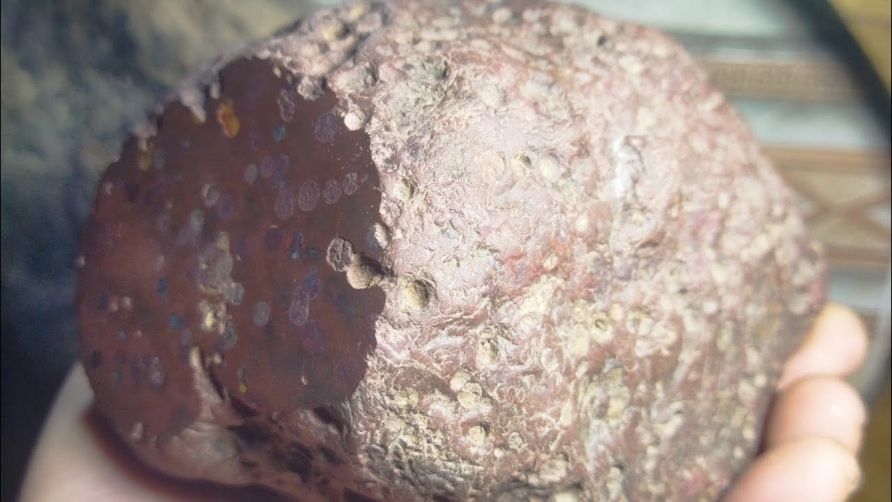 Rare carbon chondrite meteorite - YouTube