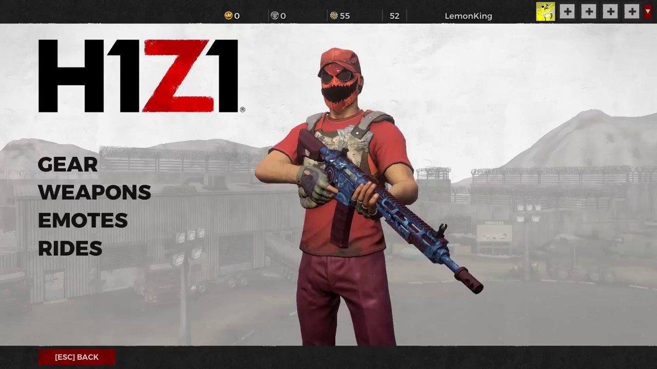 H1Z1 Free Vertigo AR 15 Skin (Read Description) - YouTube