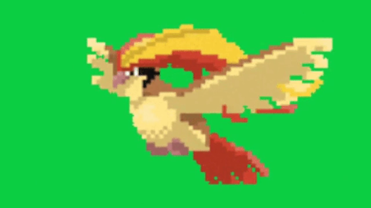 Pidgeot Flying green screen - YouTube