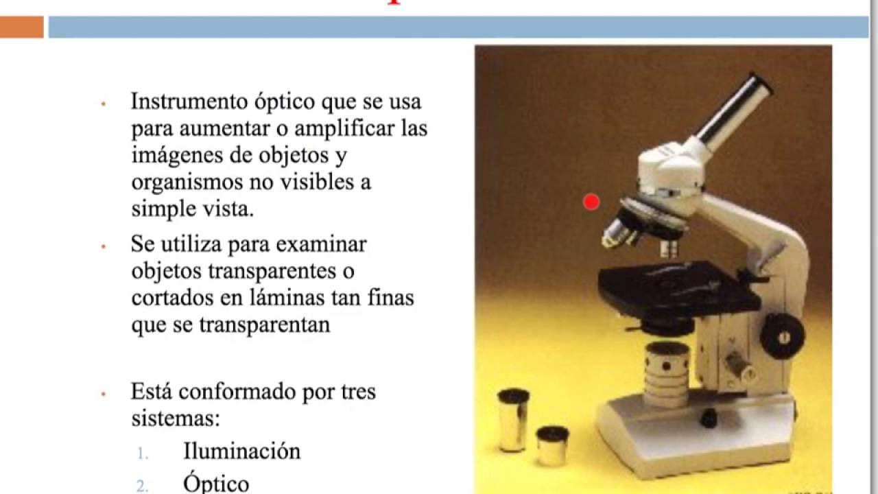 microscopia 1 parte - YouTube