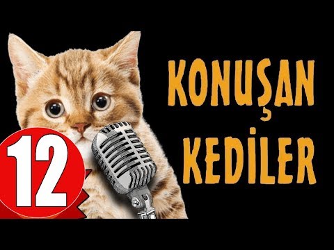KONUŞAN  KEDİLER 12 (  2.SEZON KARIŞIK )