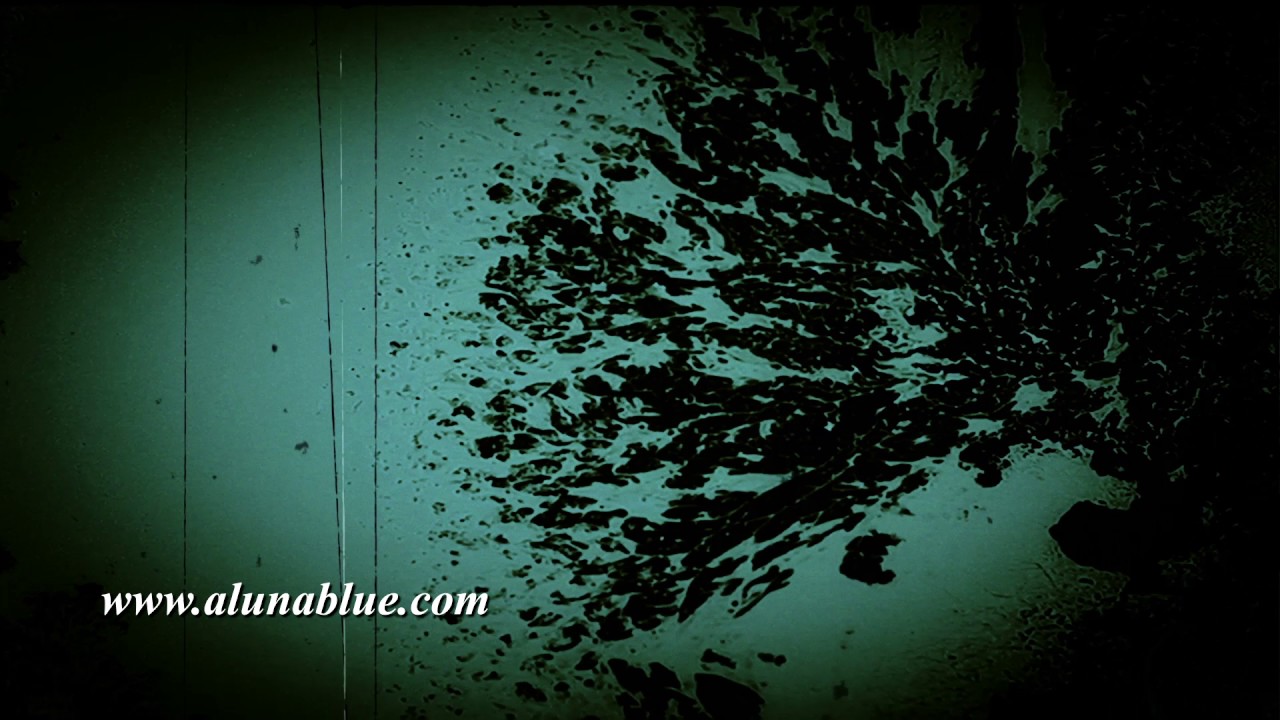 Film Leader Stock Footage Film FX1011 HD, 4K - YouTube