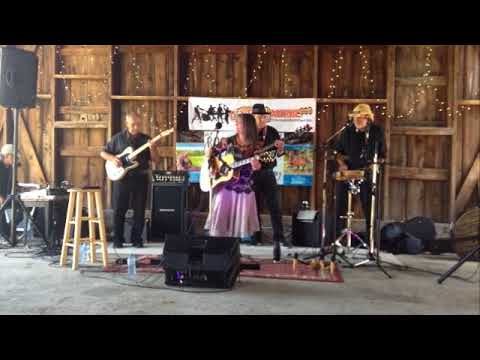 Last Chance Horse & Pony Rescue ' Rock The Barn' 2017 Mary Lou Minor ...