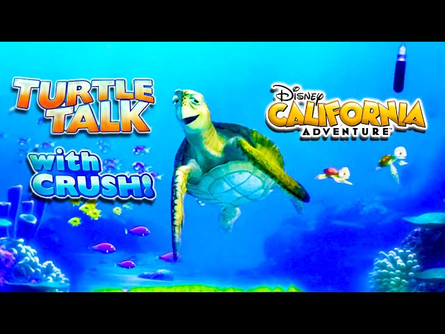 Cartoon Sea Turtle Nemo