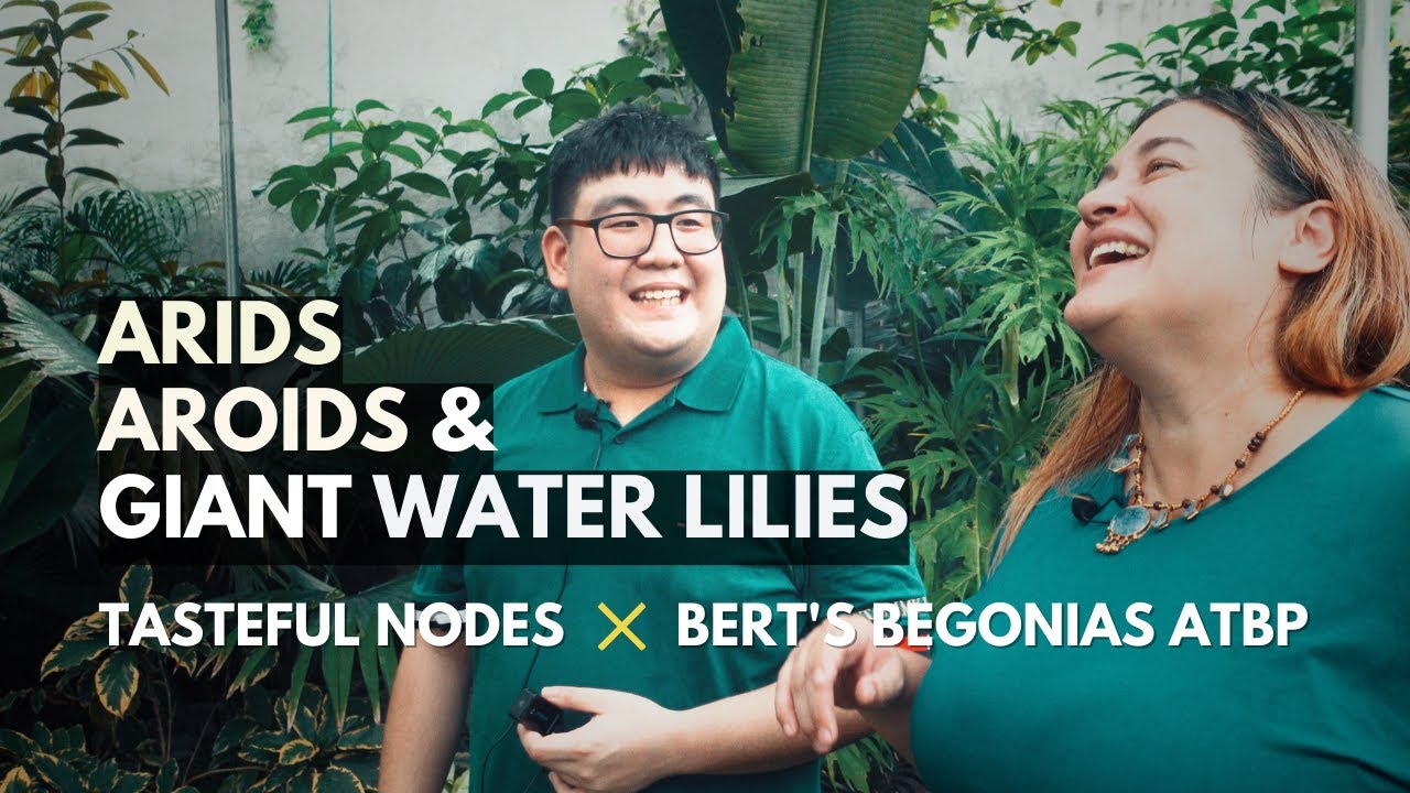 PLANTSPOTTING | Bert's Begonias: Garden Tour and Common, Uncommon ...