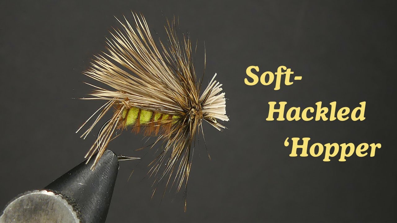 Soft Hackled Hopper - YouTube