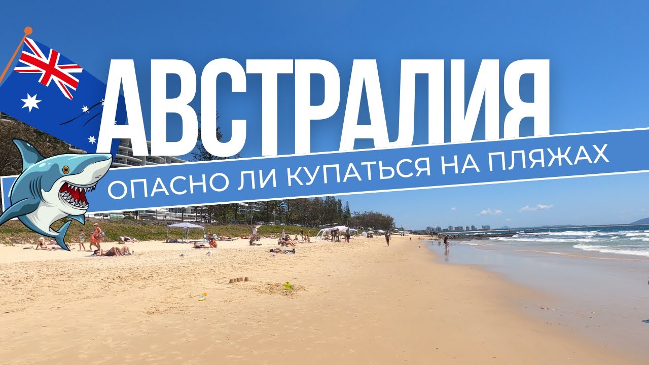 Опасно ли Купаться на Пляжах АВСТРАЛИИ Стоит ли Бояться АКУЛ Youtube
