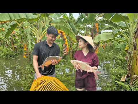 During Heavy Rain and Flooding, a Businessman and Young Woman Catch an Unexpected Haul of Fish! #ceo