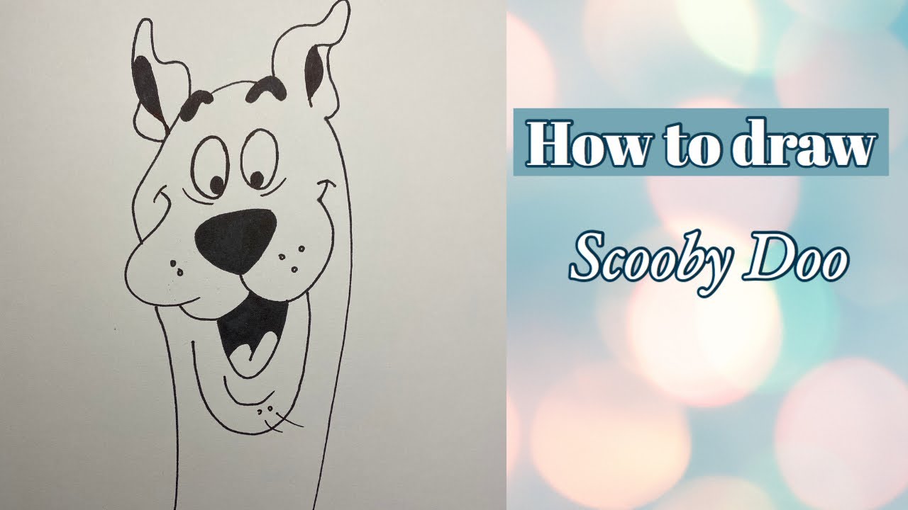 How to draw Scooby Doo for beginners | Step by Step - YouTube
