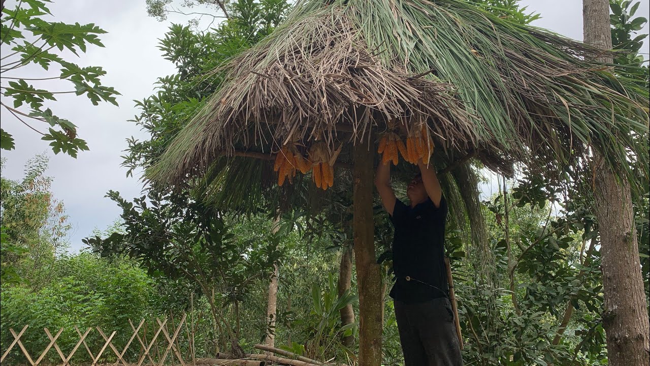 survival instinct, building a hut, harvesting corn and planting trees ...