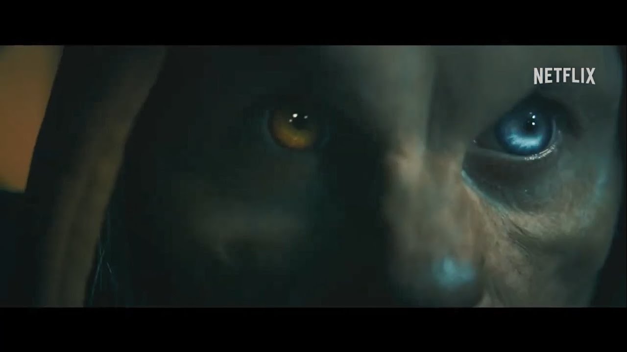 Viking Wolf (Vikingulven) | Official trailer | English/Spanish ...