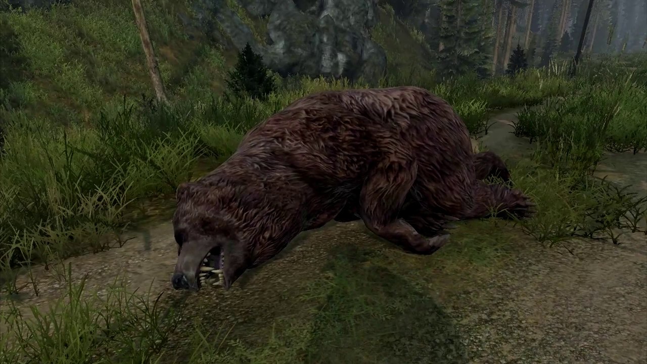 Dayz's first killed bear - YouTube