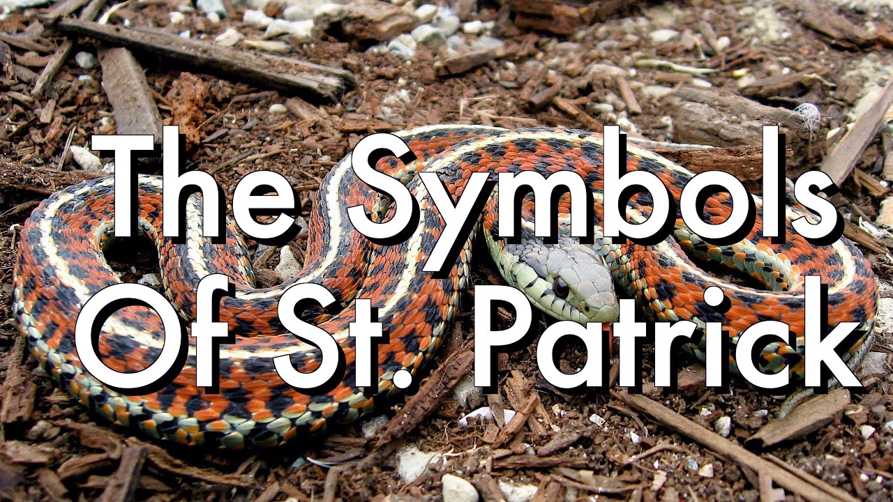 Symbols of St Patrick - YouTube