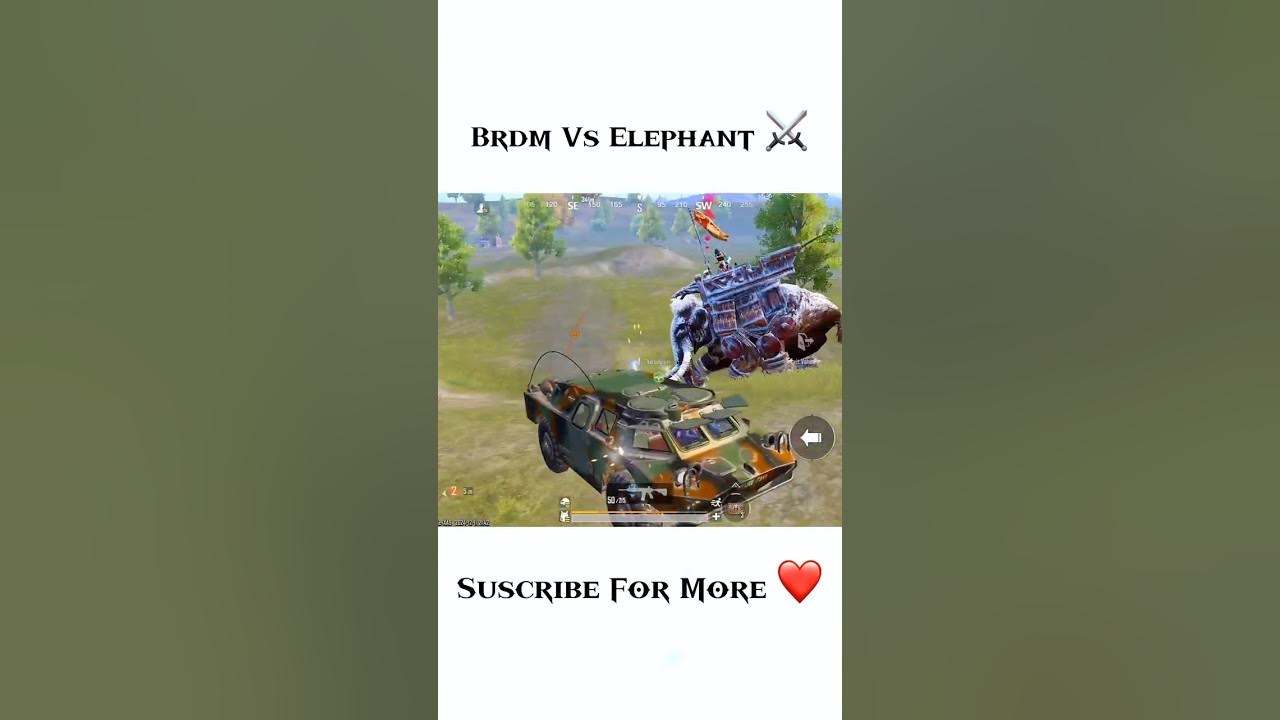 Brdm Vs Elephant ⚔️! #shorts #bgmi #1v4clutch #pktrygamer - YouTube