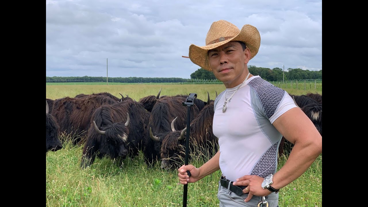 Project Michelangelo: Jojo Sayson & the Yaks of Momence, thank you ...